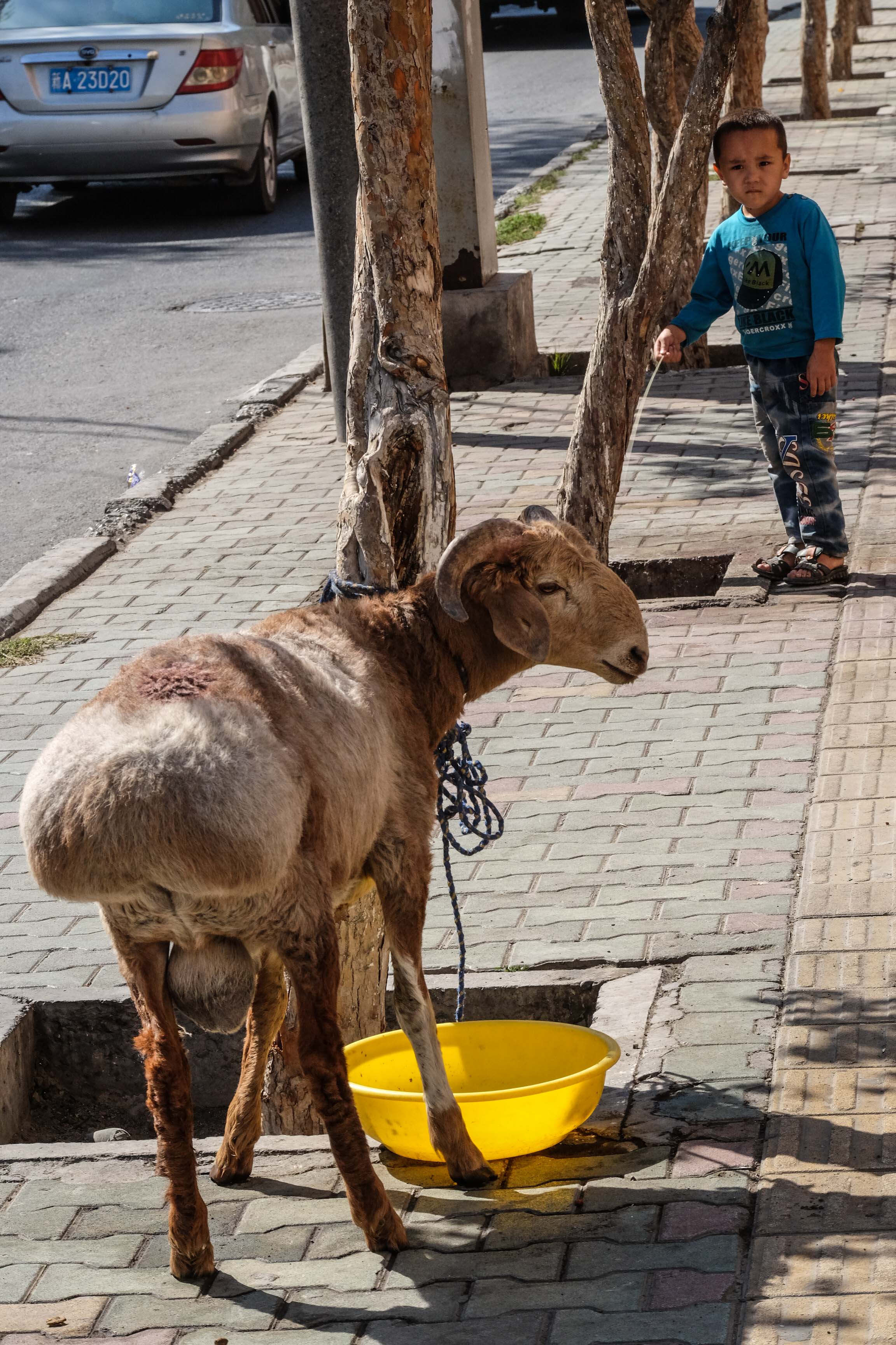 Xinjiang, Kina - när bilderna får tala - Johnnybajdzjan